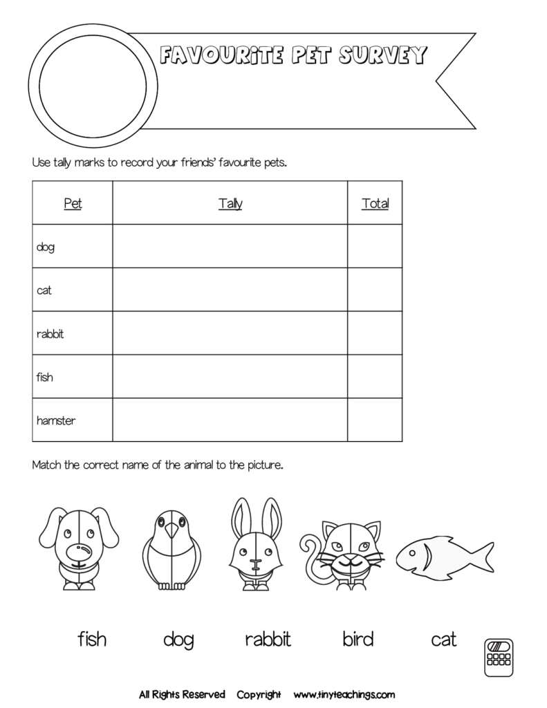 Prophet Sulaiman Children’s Activity Book I Printable - TINY TEACHINGS